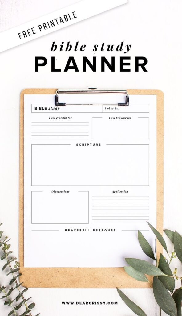 The Bible Recap Reading Plan Printable: Your Ultimate Guide to Daily ...